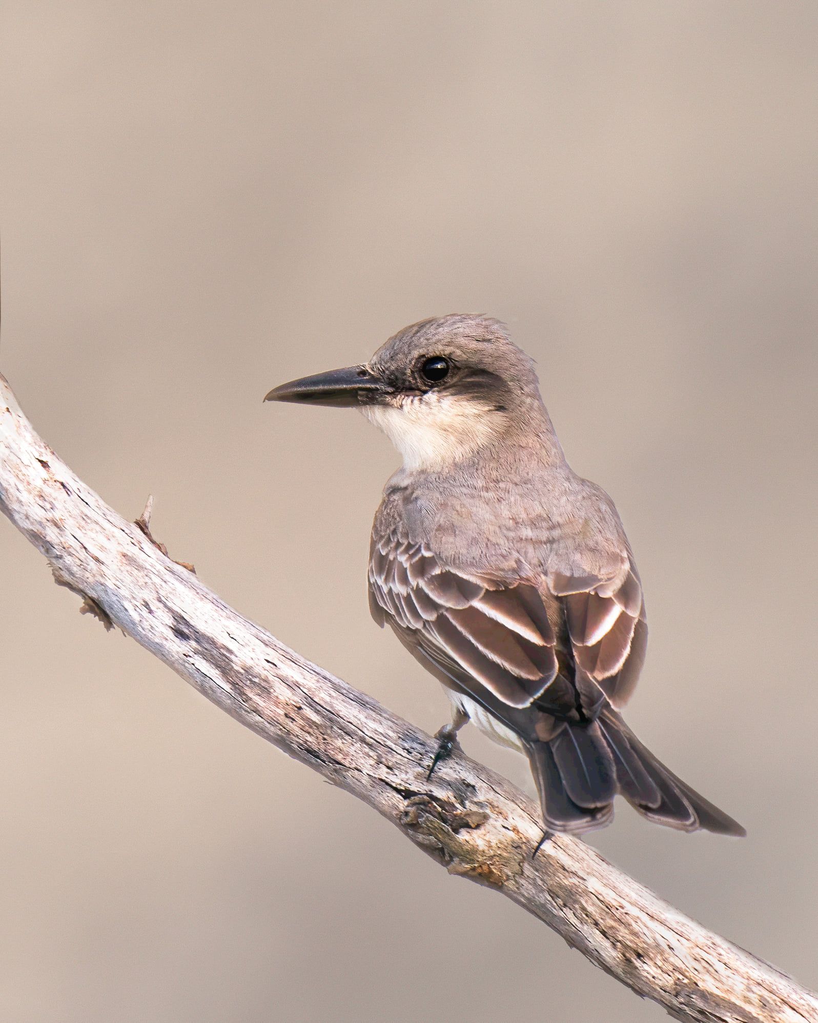 Outdoor Week 2022 — Florida Keys Wildlife Society