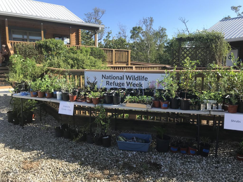 Refuge Week 2025 — Florida Keys Wildlife Society